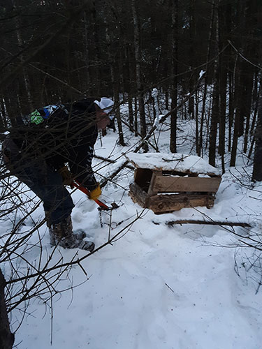 Bobcat Trapping, Minnesota StyleThe Trapper
