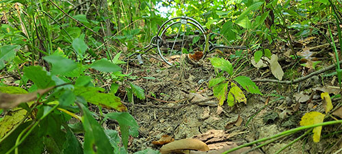 Is Round the New Square?The Trapper